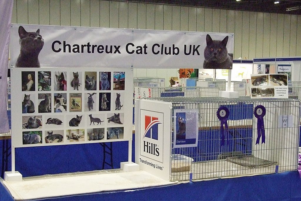 About Us – Chartreux Cat Club UK