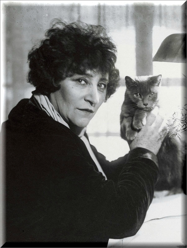 Notable Chartreux Owners – Chartreux Cat Club UK