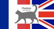 Chartreux Cat Club UK – Our primary aim is to promote and establish the ...